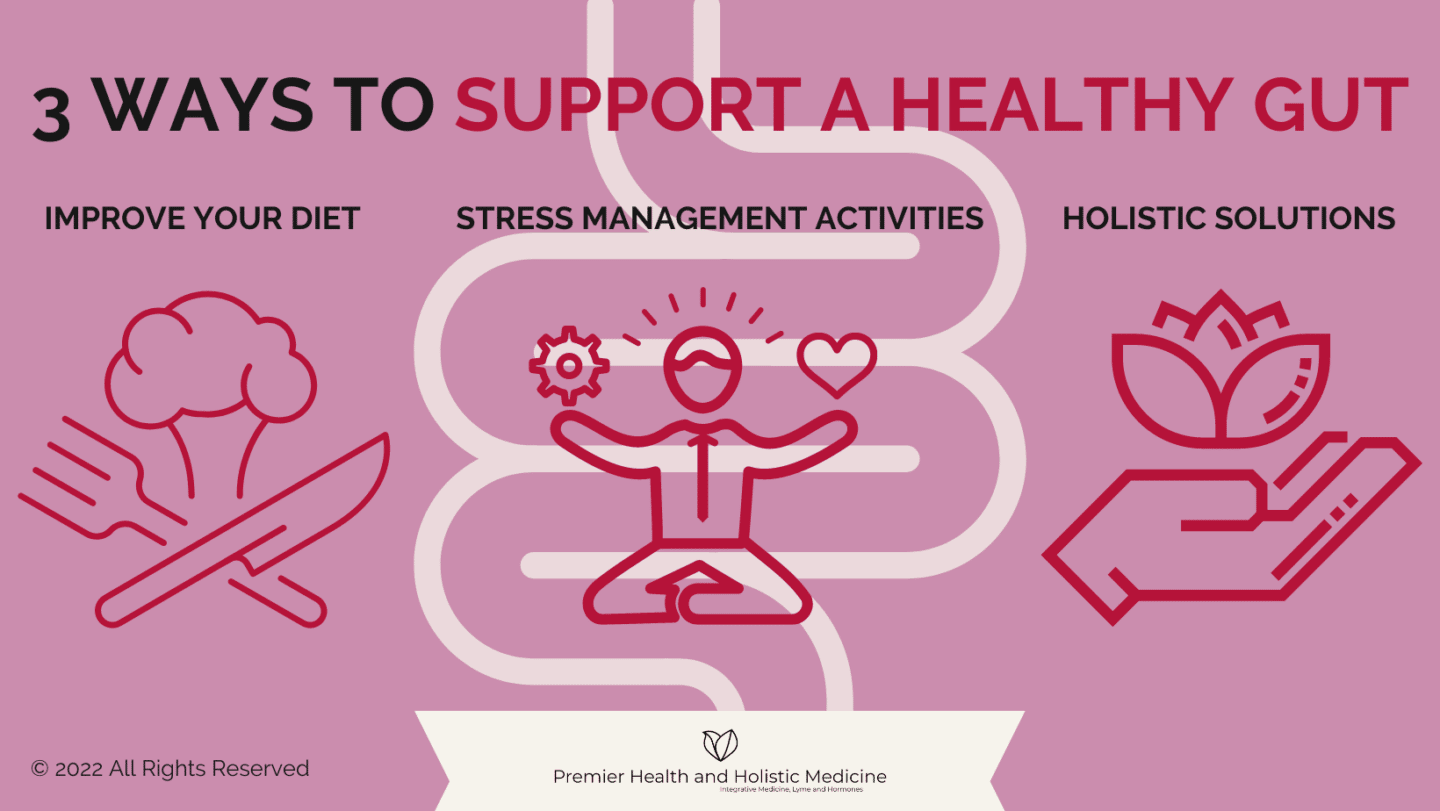 How Gut Health Works | Premier Health & Holistic Medicine