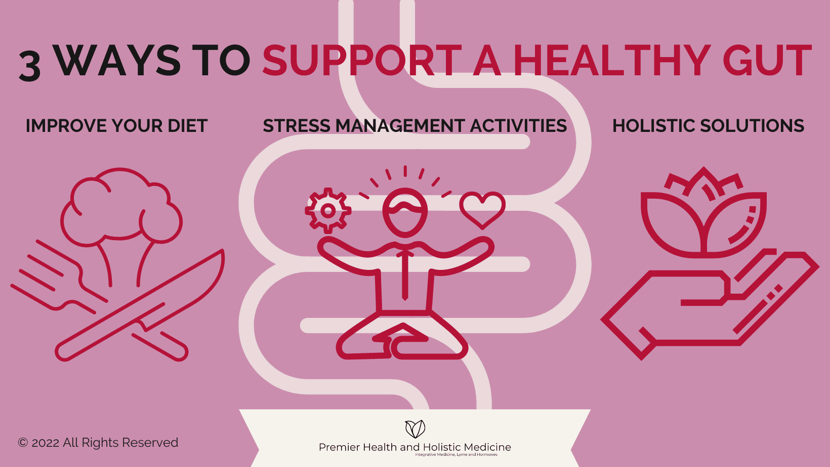 How Gut Health Works | Premier Health & Holistic Medicine