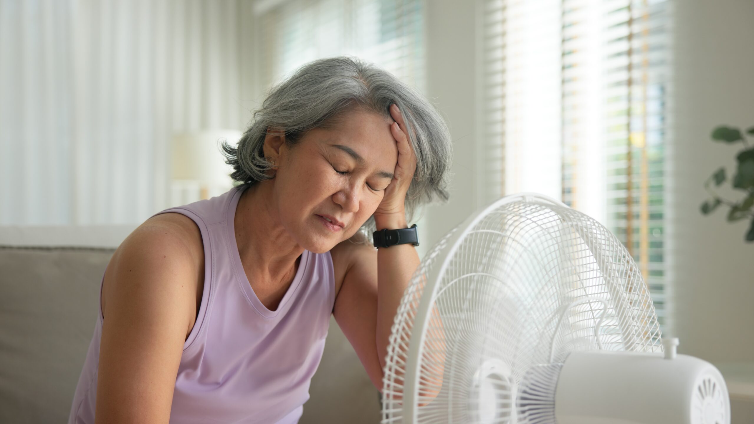 Understanding Menopause, Perimenopause, and Hot Flashes: WhatYou Need ...